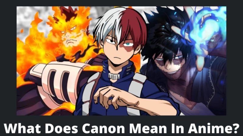 What Does Canon Mean In Anime? Brief History And Meanings - MyAnimeFacts