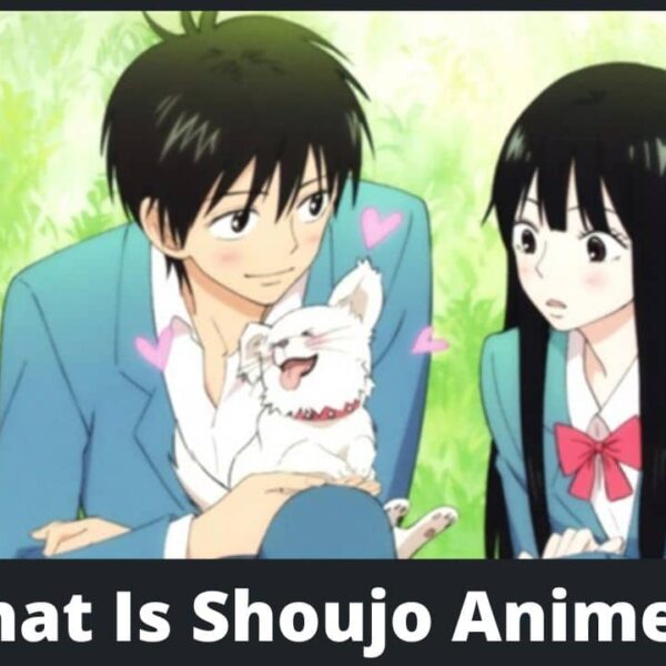 Top 10 Shoujo Anime Of All Time - MyAnimeFacts